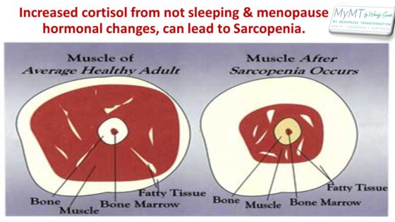 New Research: Your belly-fat in post-menopause ... and why you shouldn ...