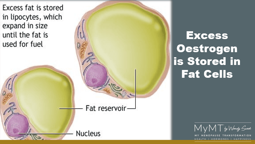 Are you putting on weight during your menopause transition? If you are ...