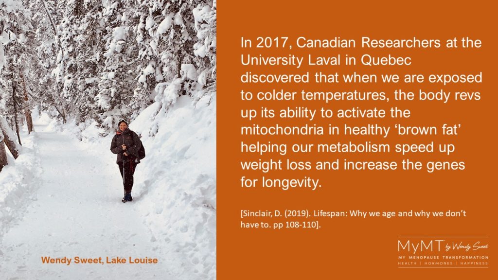 Burn abdominal fat and lengthen your lifespan by switching on your ...