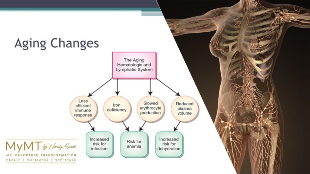 Feeling swollen and bloated? Then love your ageing lymphatic system in ...