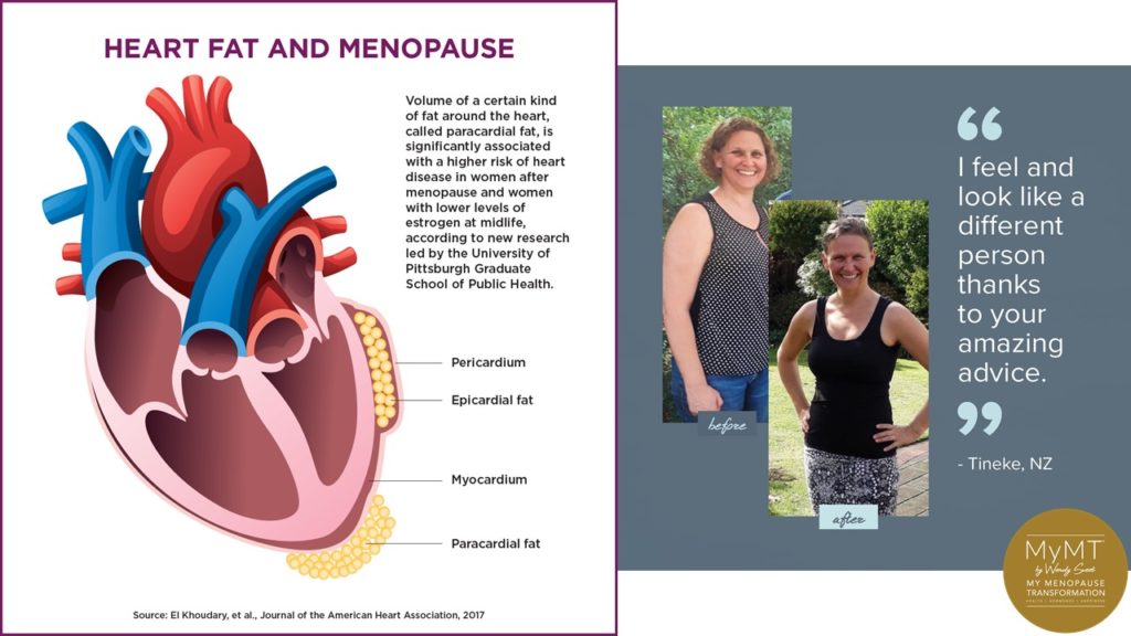 New Research: Menopause weight gain, oestrogen storage in fat cells and ...