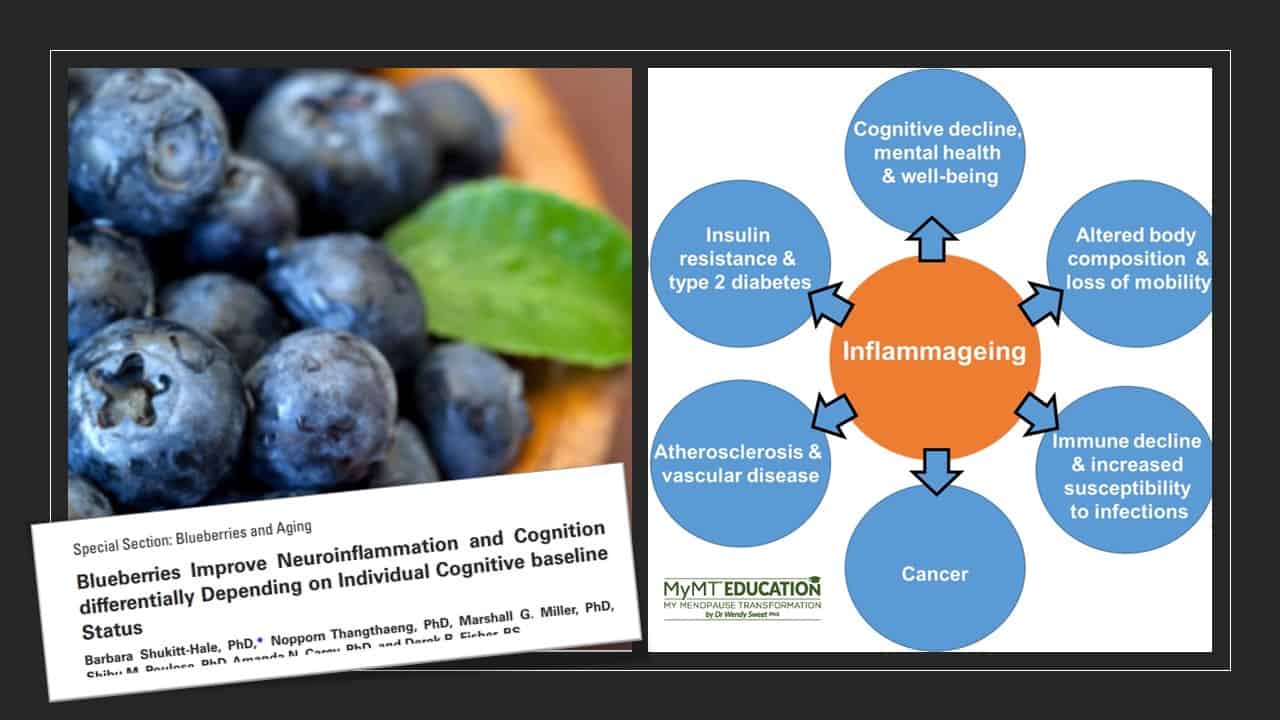 MyMT™ Education: Help clients banish menopause brain-fog with a burst ...