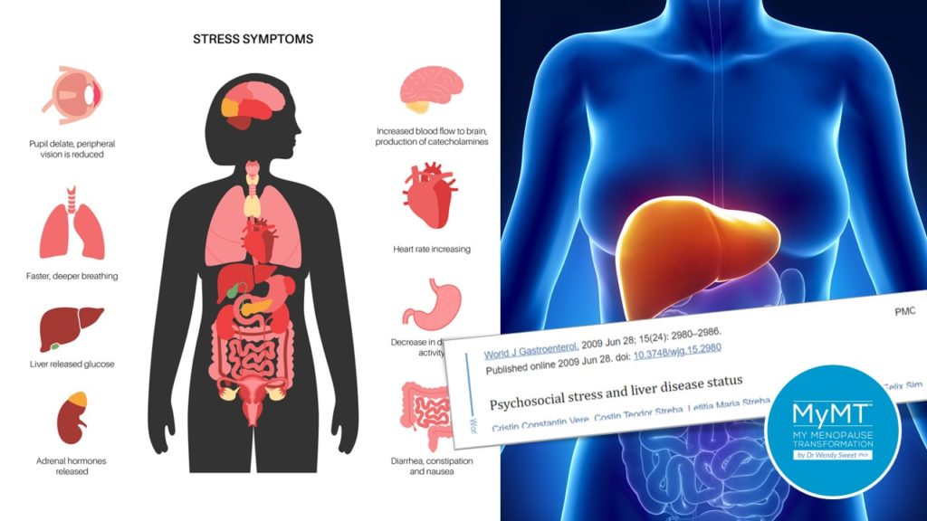 Discover the stress-liver-menopause inflammation connection! - My ...