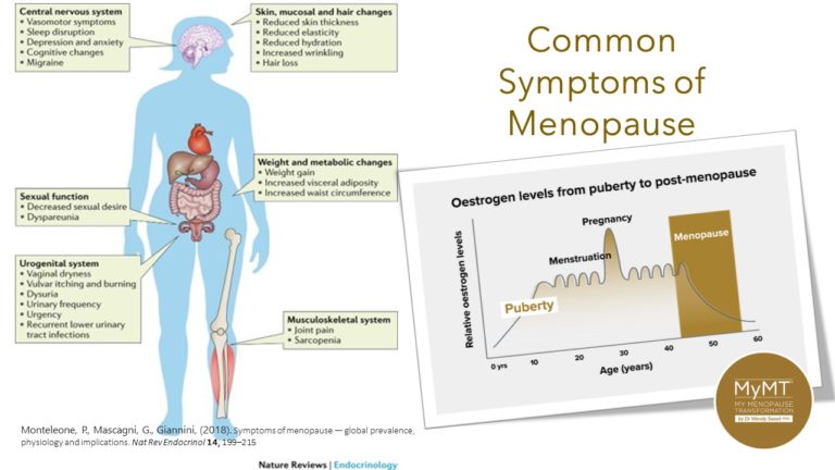 A new way of thinking about your menopause symptoms: Strengthening ...