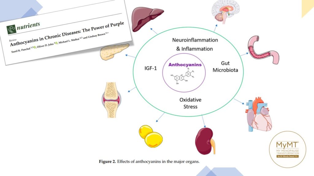 The power of purple: The healthy ageing benefits of these New Zealand ...