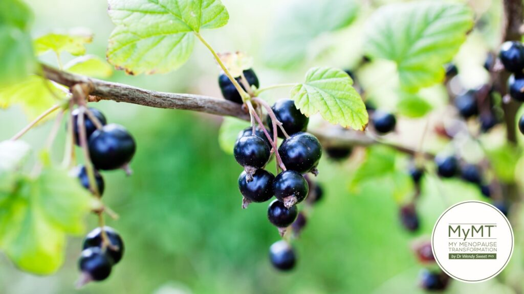 The power of purple: The healthy ageing benefits of these New Zealand ...