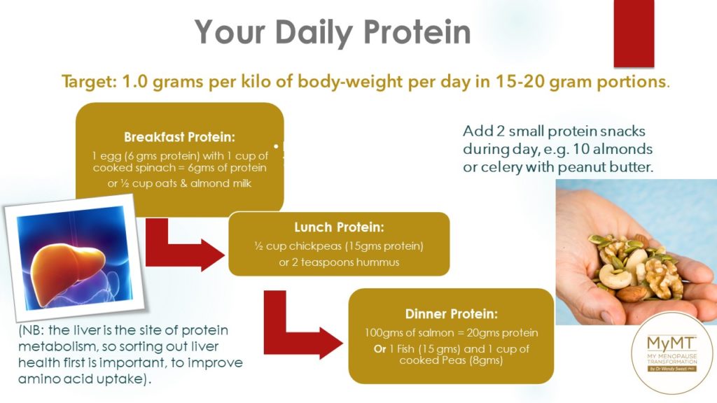 New Research: Will increasing your protein intake reduce menopause ...