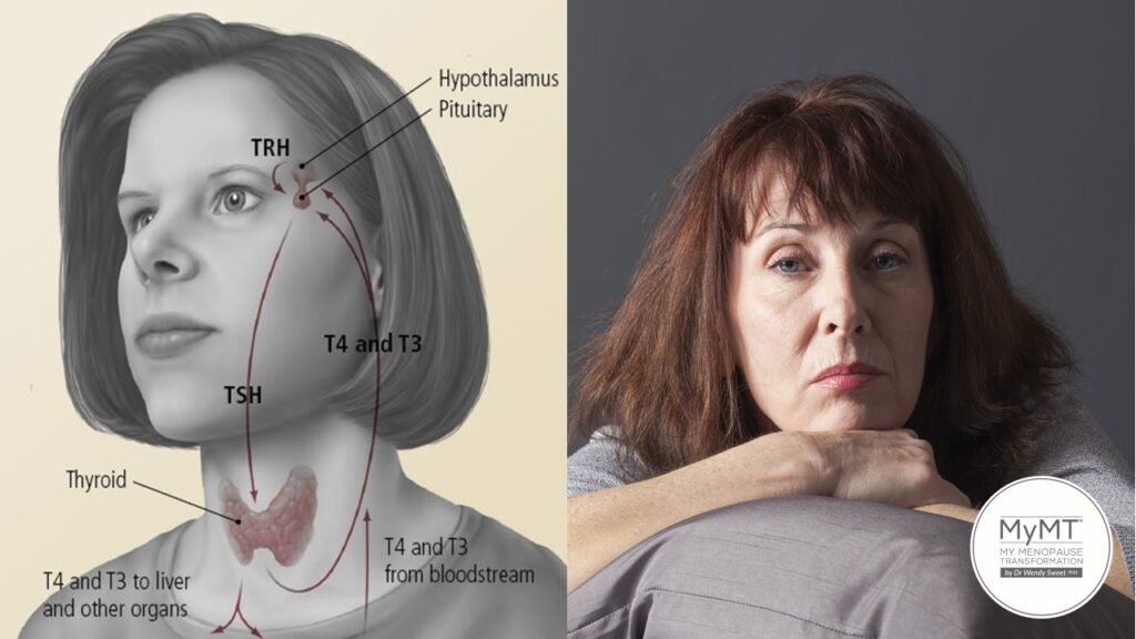Does Your Ageing Thyroid Need the Magic of Magnesium? | MyMT
