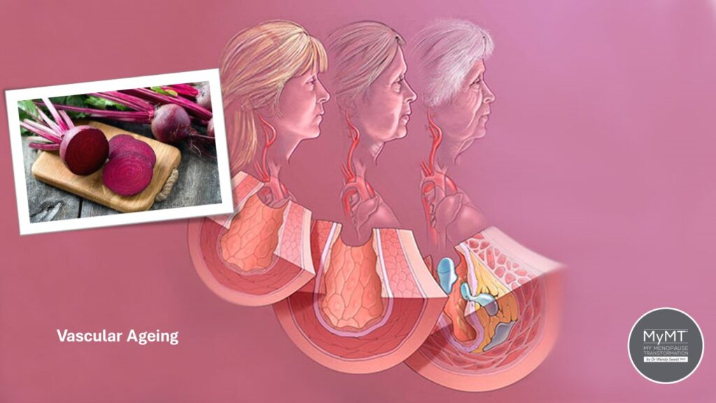 Perimenopause Leg Cramps & Menopause Leg Pain